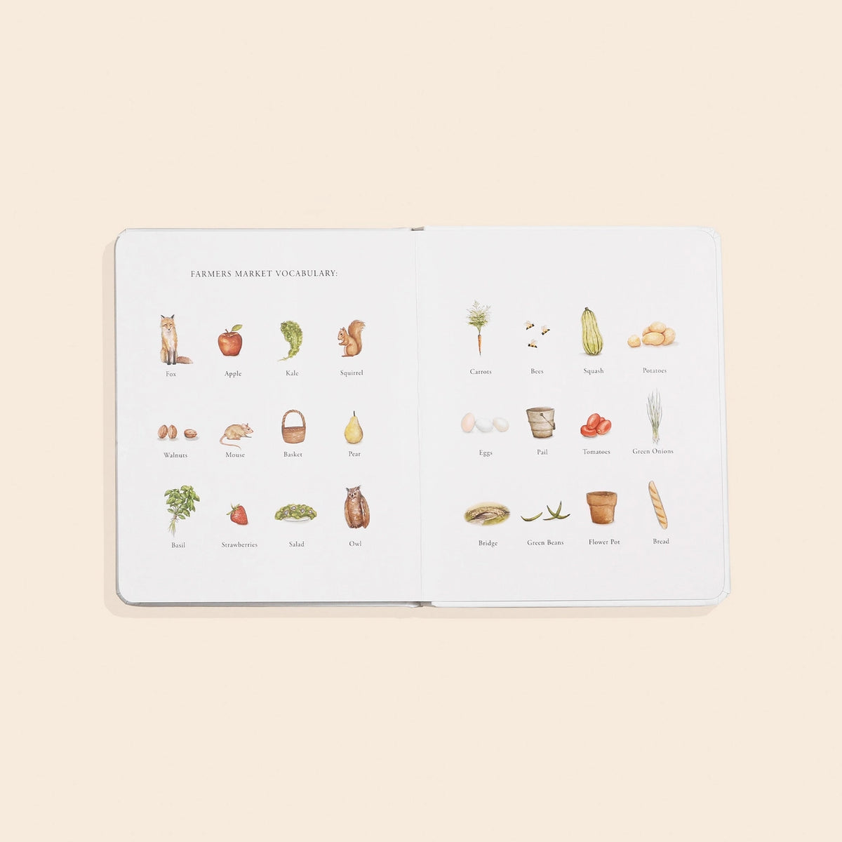 Our Little Adventures To the Farmers Market Book – Children's Edit
