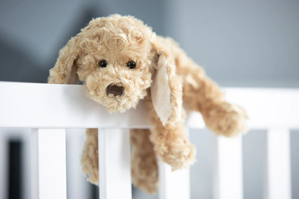 Buddy the Dog – Children's Edit