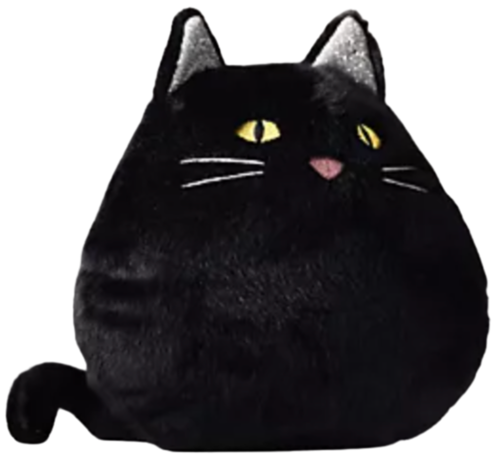 Black Cat – Children's Edit